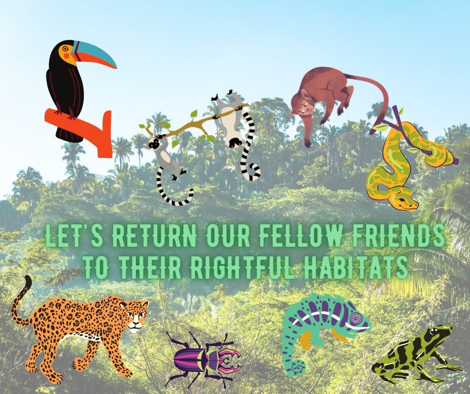 TGSB sustainable learning corner – thegreenschoolbangalore