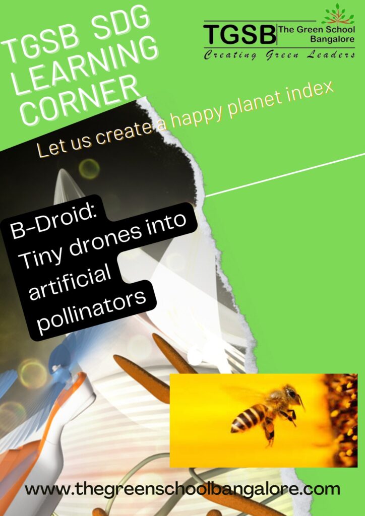 TGSB sustainable learning corner – thegreenschoolbangalore